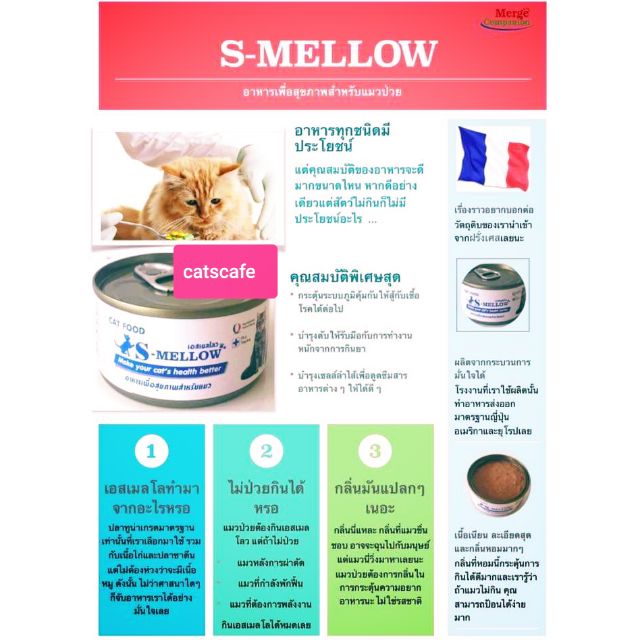 S-mellow Sauce เอสเมลโล์เอสเมลโล s mellow อาหารแมวป่วย (24 กระป๋อง ...