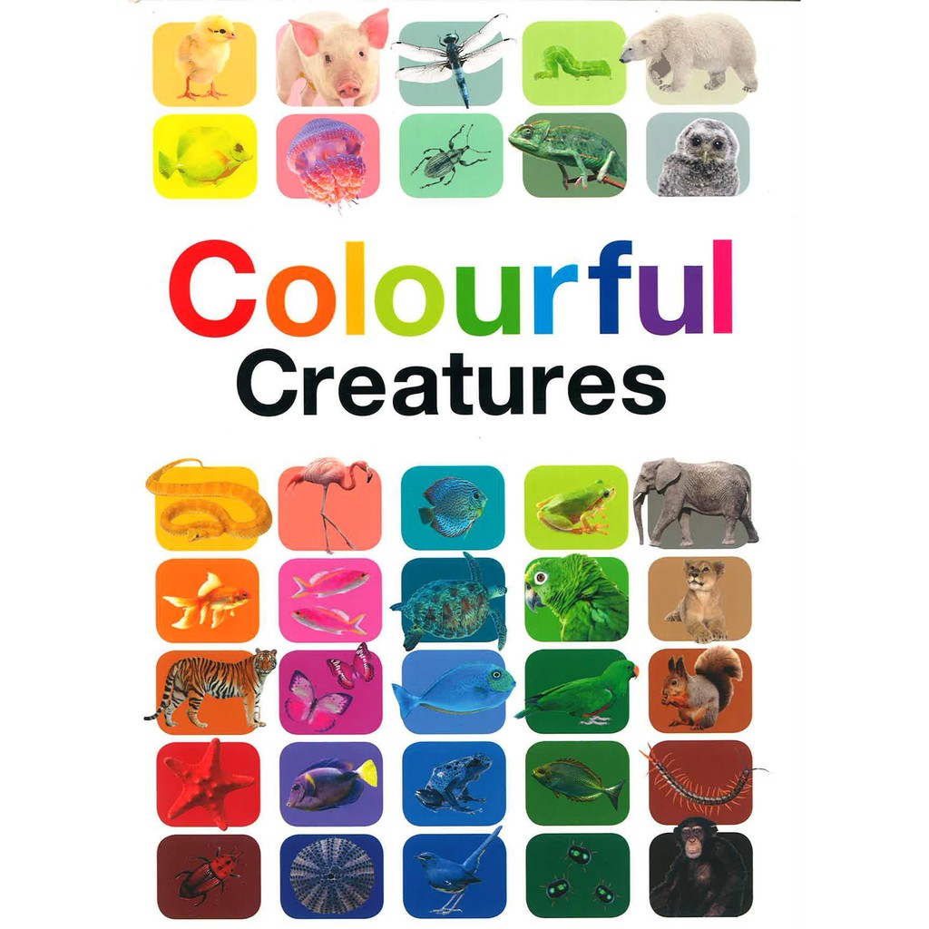 Colourful Creatures หนังสือเด็ก ภาษาอังกฤษ ปกแข็ง เล่มใหญ่ สีสัน สัตว์ ...
