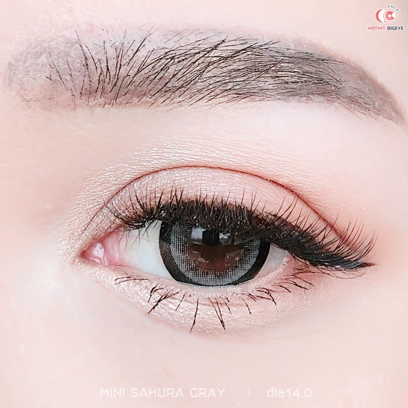 คอนแทคเลนส์ Mini Sakura gray พร้อมส่งแบบปกติ และค่าสายตาสั้น 0.00- 7.00 ...