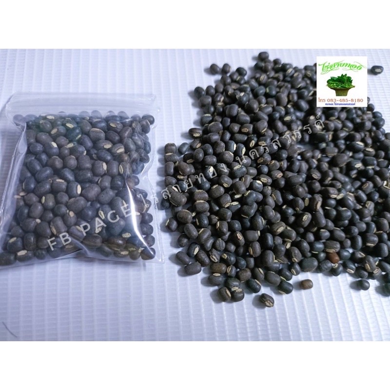 ถั่วแขกเพาะเกรดA บรรจุ 500 กรัม เมล็ดโต ดำมัน ตาโปนขาว เหมาะสำหรับเพาะ ...