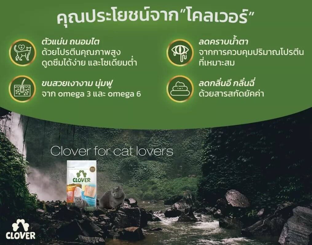Clover (10 kg) อาหารแมว holistic grain-free ตัวแน่น ถนอมไต (โซเดียมต่ำ ...