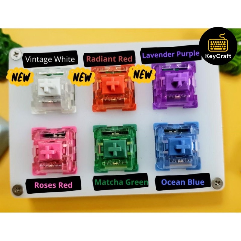 [แพ็ค 5 เม็ด]Akko CS และ Jelly Switches สวิทช์ราคาถูกมาก ลื่น เสียงดี ...