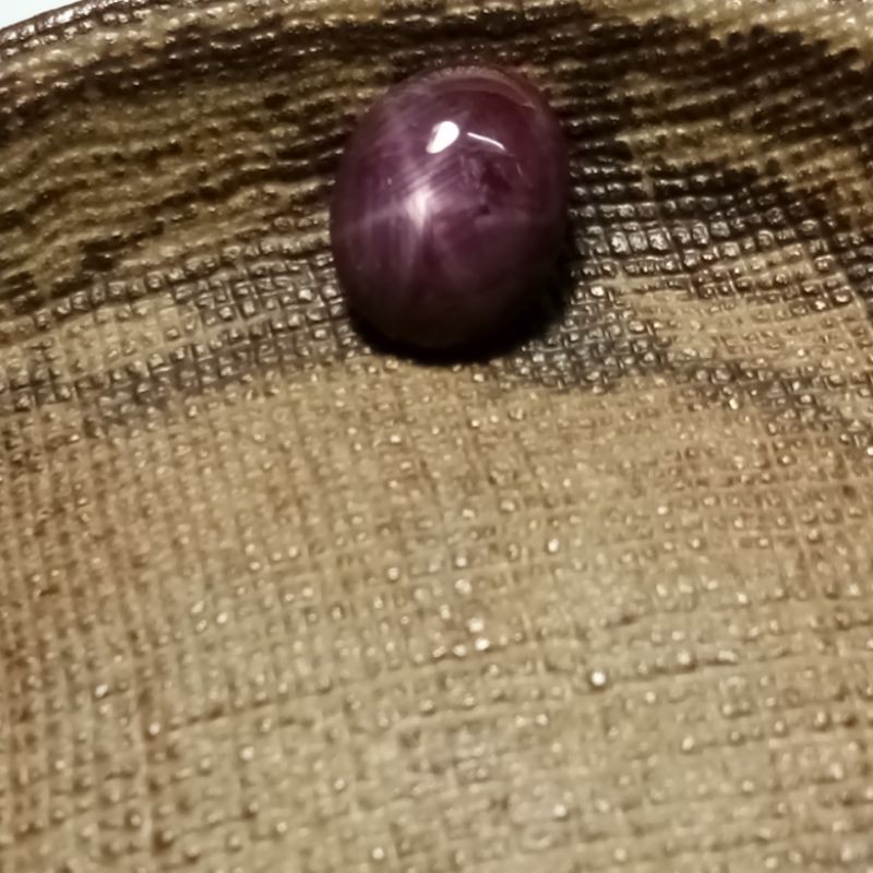 ทับทิมสตาร์ Ruby Star Cab.Ov. | Shopee Thailand