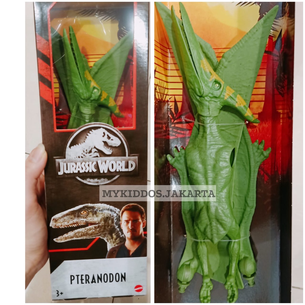 Jurassic World Figure: Dilophosaurus / Velociraptor Blue / Pteranodon ...