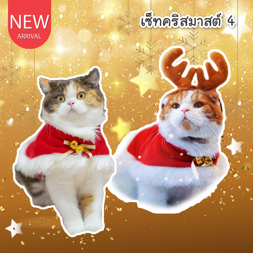 CatHoliday ชุดแต่งกายคริสมาสต์ Set 4 เสื้อคลุมแมว ชุดสัตว์เลี้ยง หมา สุนัข | Shopee Thailand