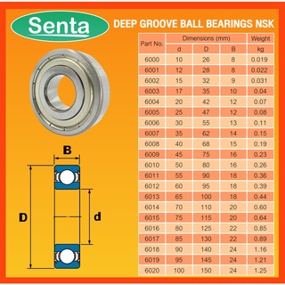 NSK 6000ZZ 6001ZZ 6002ZZ 6003ZZ 6004ZZ 6005ZZ 2Z NSK ตลับลูกปืนเม็ดกลม ...