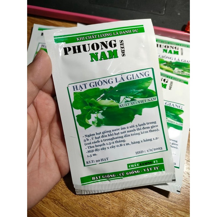 เมล็ดพืชส้มลม(Aganonerion polymorphum)เวียดนาม/hạt giống lá giang ...