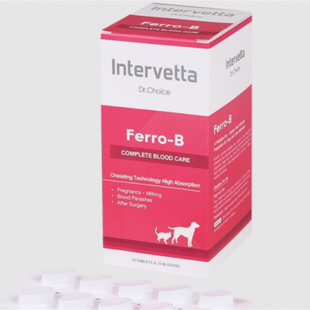 [100 เม็ด] Dr.Choice Ferro-B บำรุงเลือด Exp.11/2025 แม่พันธุ์ หมาท้อง ...