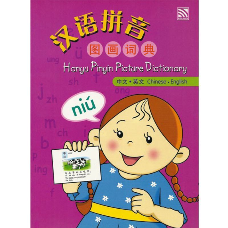 Hanyu PINYIN MANDARIN LANGUAGE วินิจฉัย | Shopee Thailand