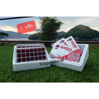 หนอนแดงแช่แข็งFuji 1-3 แพ็ค⚠️โปรดระวังสินค้าลอกเลียนแบบ⚠️ เกรดA อาหาร ...