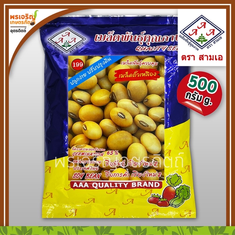 เมล็ดพันธุ์ เมล็ดถั่วเหลือง เชียงใหม่ 2 Soy Bean 3A (500 กรัม) เมล็ด ...