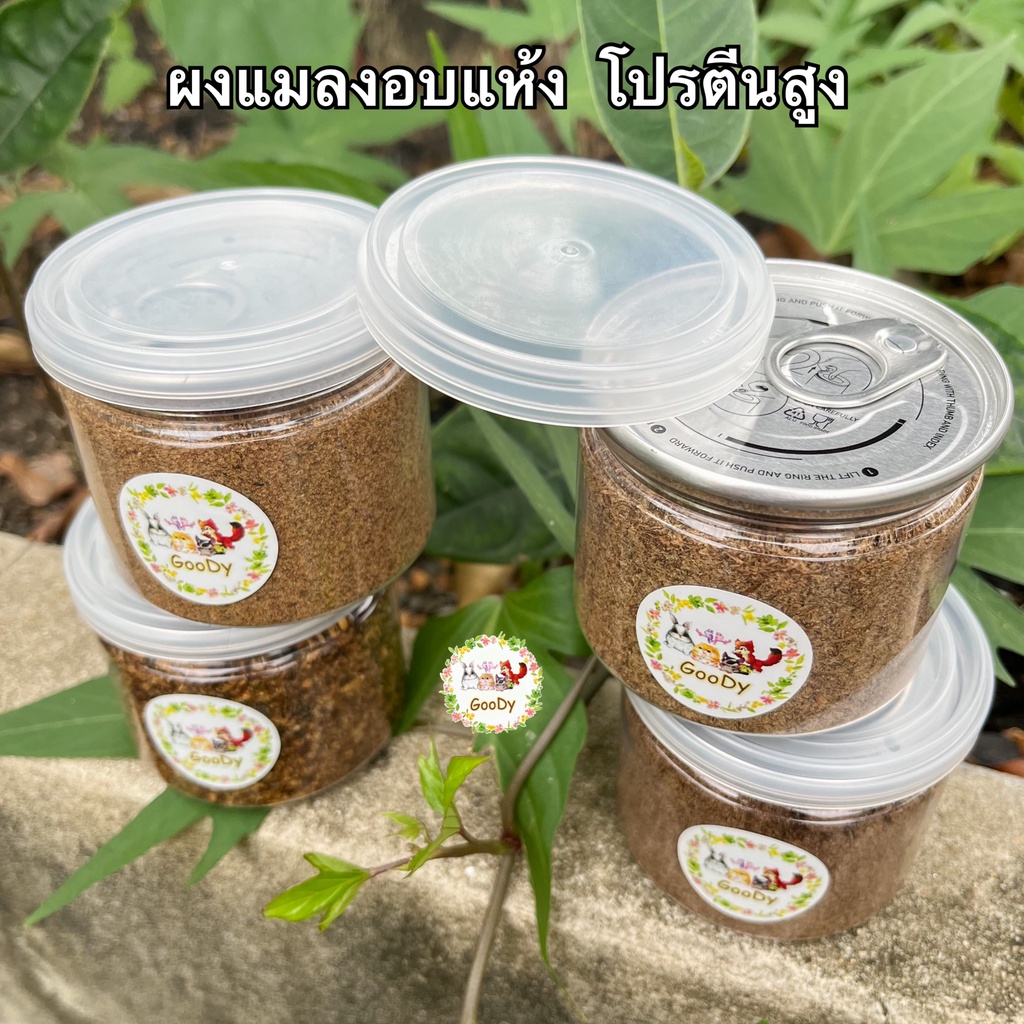 ผงแมลงอบแห้ง 50 กรัม/g. โปรตีนสูง Dried bugs powder. High protein for ...
