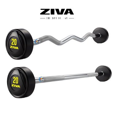 ZIVA Rubber Barbell Set 10 ชิ้น พร้อมชั้นวาง (พรีออเดอร์ต่างประเทศ ...