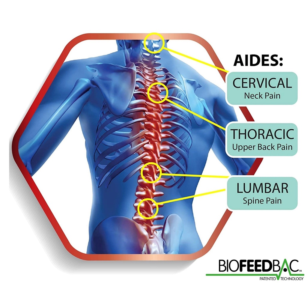 แผ่นรัดเอวแก้ปวดหลัง biofeedback back support belt เข็มขัดรัดเอวแก้ปวด ...