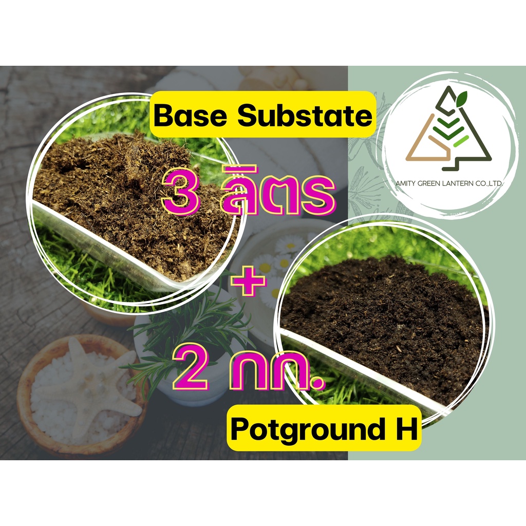 3 กก./9 ลิตร พีทมอส (Peatmoss)/เบสซัพเทรด (Base Substrate) | Shopee Thailand