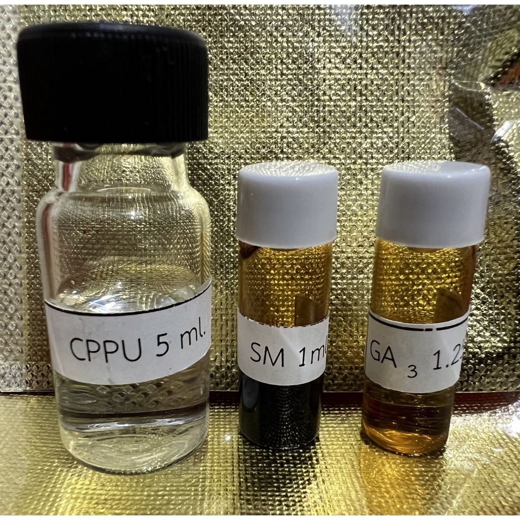 CPPU-GA-สเตรปโตมัยซิน สำหรับองุ่นไร้เมล็ด(1ลิตร) | Shopee Thailand