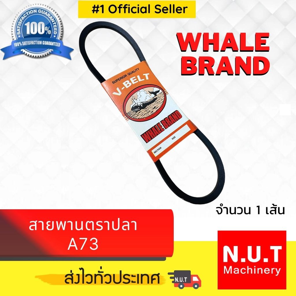 สายพาน A73 ตราปลา V-BELT ร่อง A ร่องเรียบ | Shopee Thailand