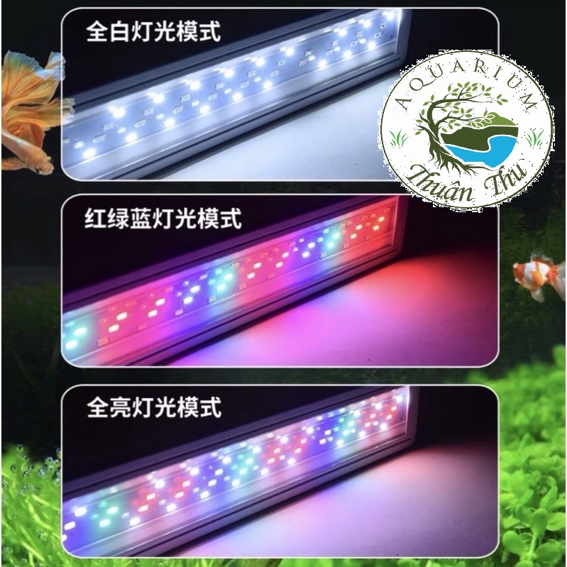 Quanlong RGB 100 ซม. ไฟราง Led เปลี่ยนสี 3 โหมดสําหรับตู้ปลา ยาว 100 ...