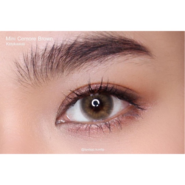 Mini Cemore brown พร้อมส่งค่าสายตา (kittykawaii) | Shopee Thailand
