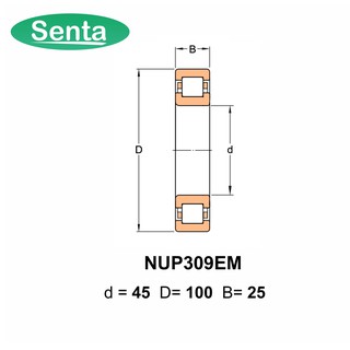 NUP309EM ตลับลูกปืนเม็ดทรงกระบอก ขนาดใน45 นอก100 หนา25 มิลลิเมตร NUP309 ...