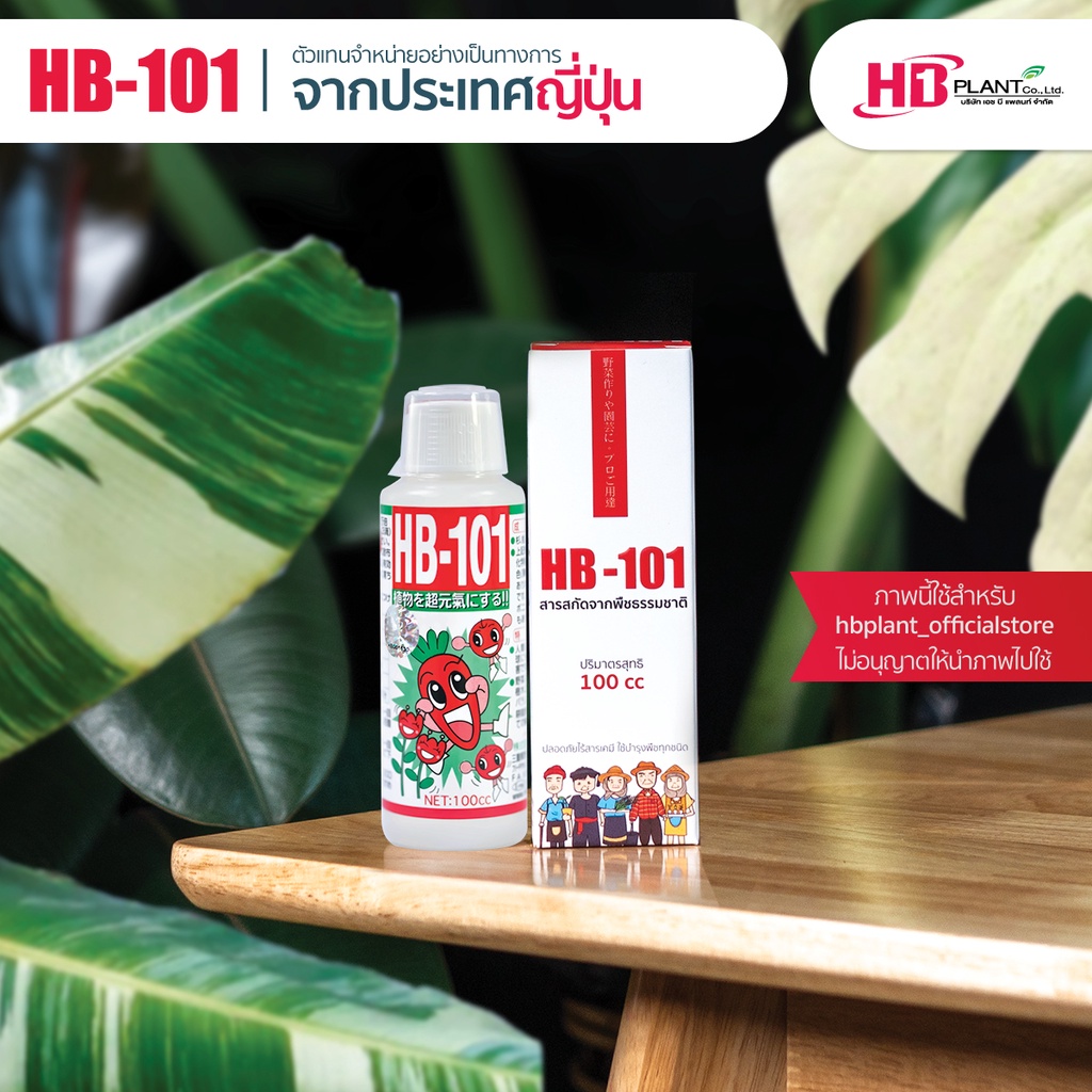 อาหารเสริมพืช HB101 (เอช บี 101 ) ขนาด 100 cc | Shopee Thailand