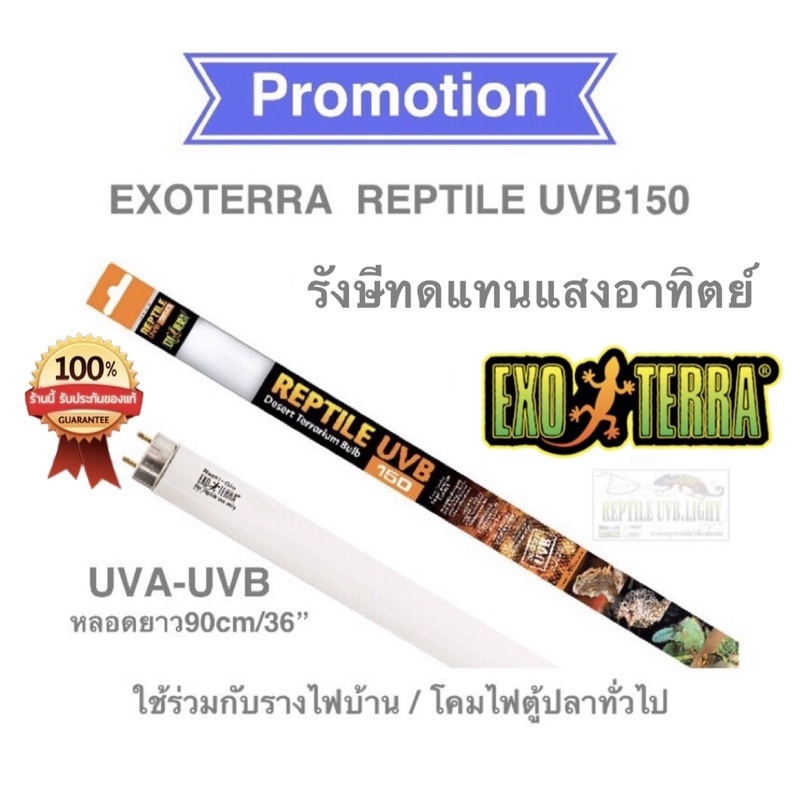 UVB150 หลอดฟลูออเรสเซนส์ t8 หบอดยาว36” 30w | Shopee Thailand