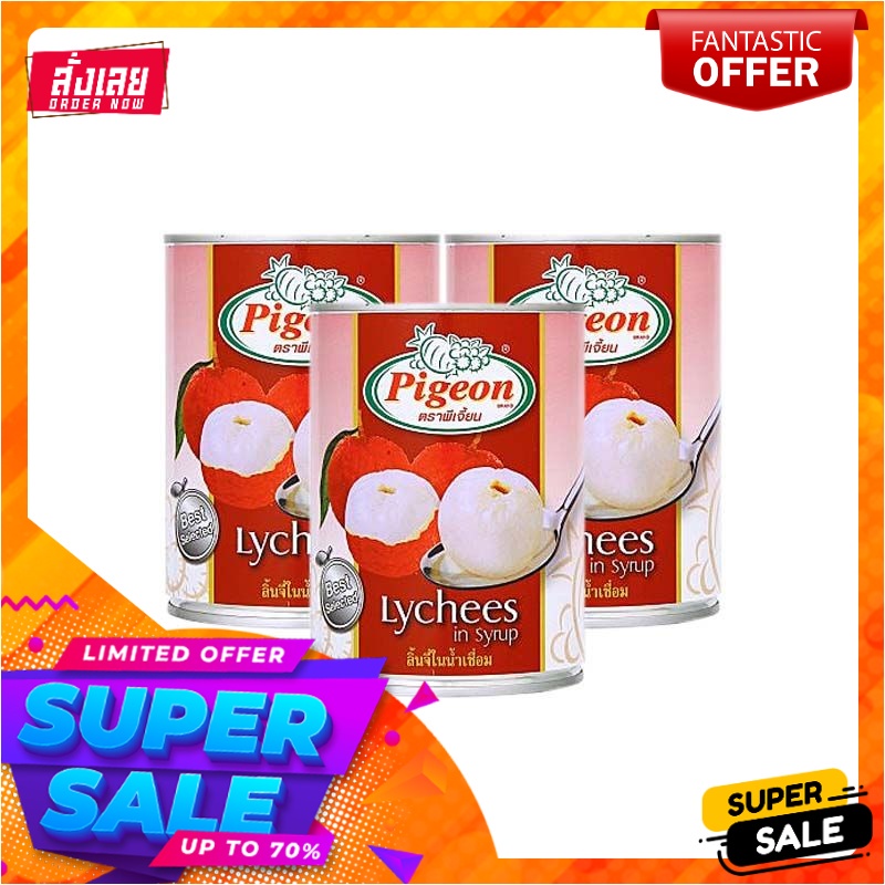 นกพิราบ ลิ้นจี่ในน้ำเชื่อม 540 กรัม x 3 กระป๋องPigeon Double Lychees ...