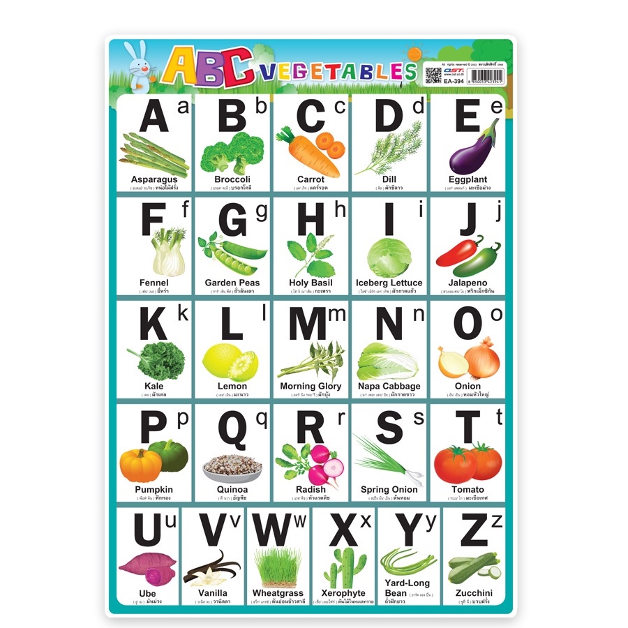 โปสเตอร์ ABC Vegetables EA-394 โปสเตอร์ขนาด A4 พลาสติกPP สื่อการเรียน ...