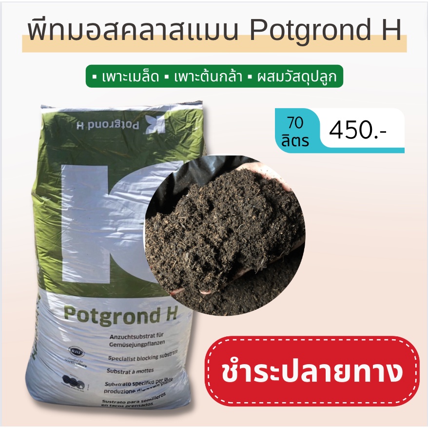 พีทมอสคลาสแมน Potgrond H นำเข้าจากเยอรมัน "ชำระปลายทางได้" | Shopee ...