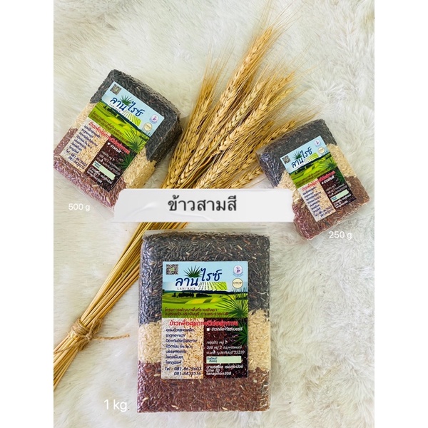 ข้าวกล้องสามสี ปลอดสารพิษ | Shopee Thailand