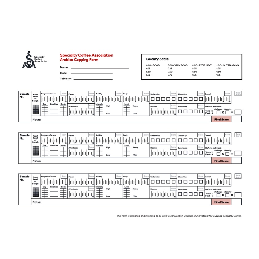 SCA Coffee Taster's Flavor Wheel Poster - ORIGINAL SCA VERSION- No ...