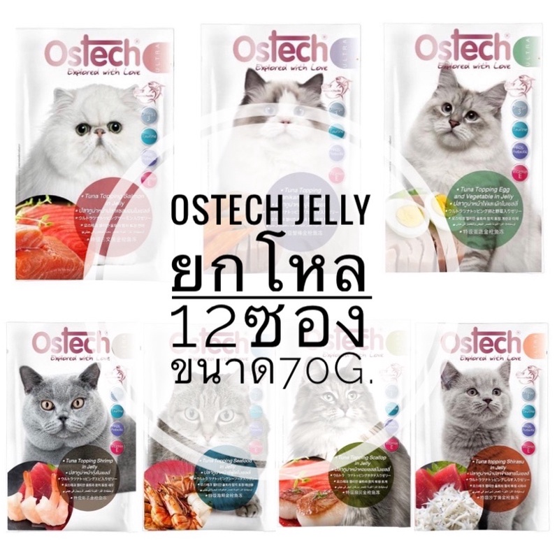 [บรรจุ12ซอง]Ostech Ultra Premium Cat Pouch in Jellyออสเทค อัลตร้า อาหาร ...
