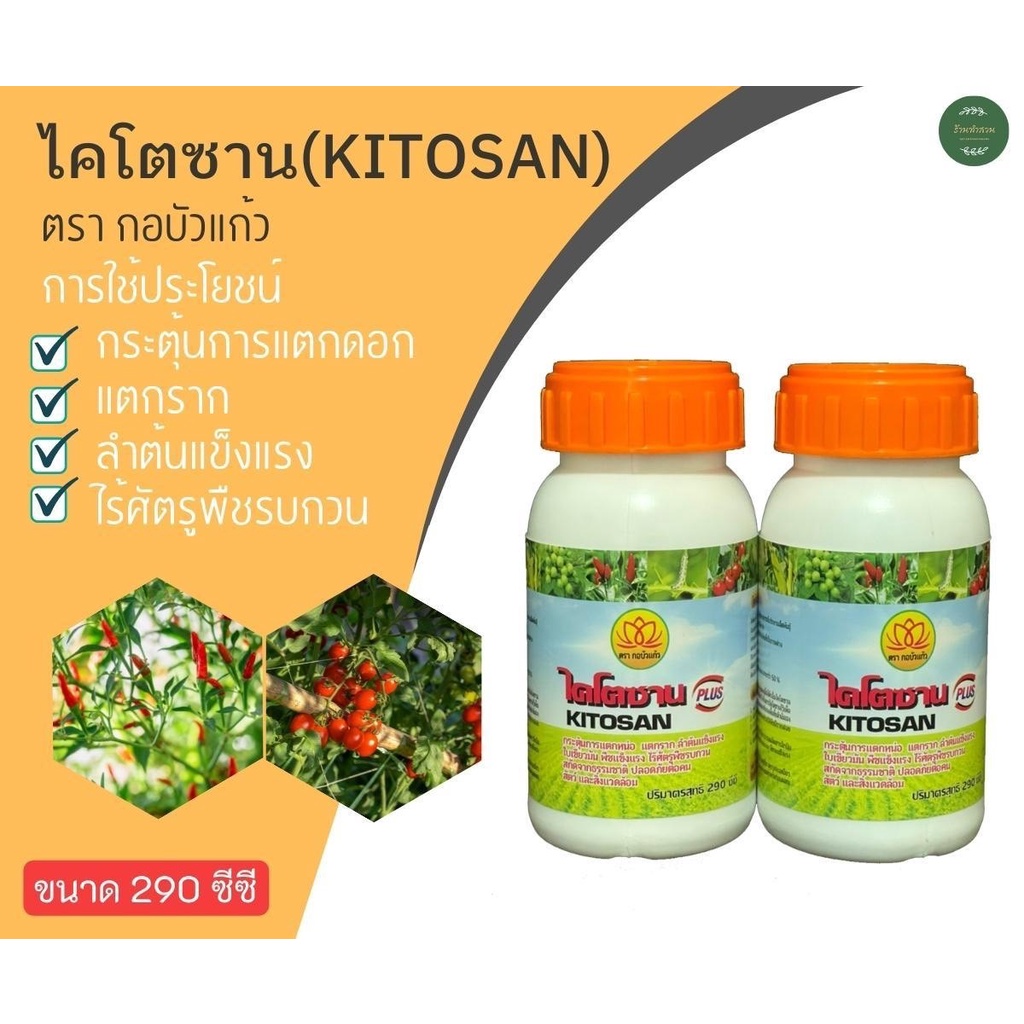 ไคโตซาน (KITOSAN PLUS) 250 ซีซี | Shopee Thailand