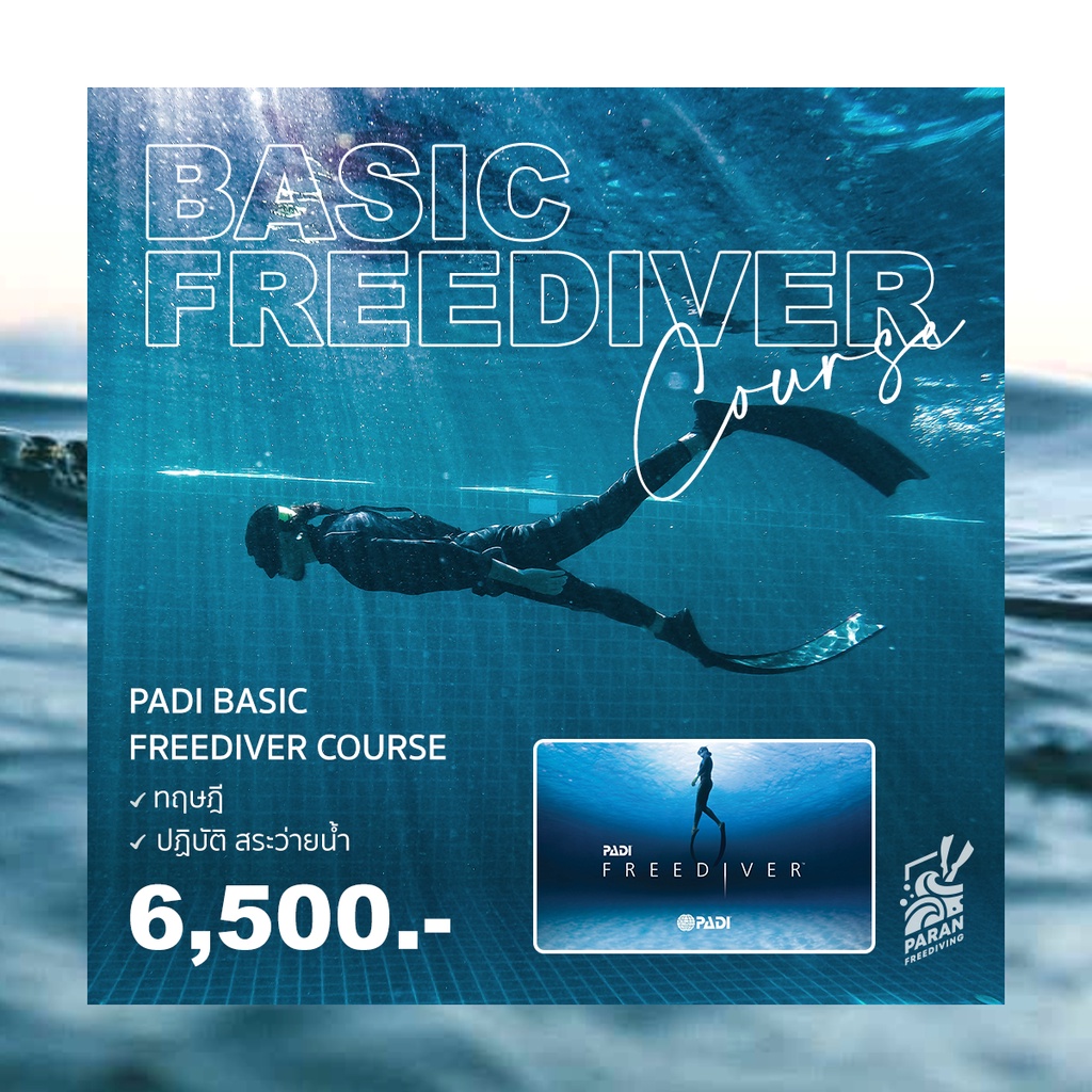 คอร์สเรียน "เบสิกฟรีไดฟ์" PADI Basic Freediver by PARAN Freediving | Shopee Thailand