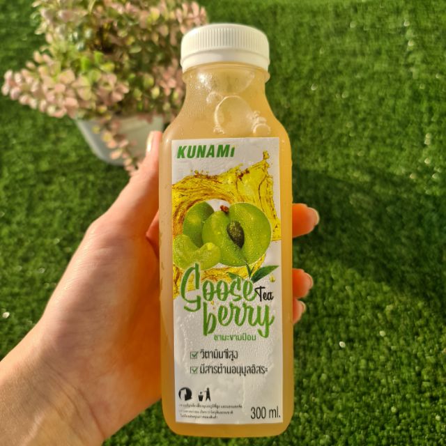 ชามะขามป้อม Kunami 300 ml. ดื่มง่าย ต้องลอง!! | Shopee Thailand