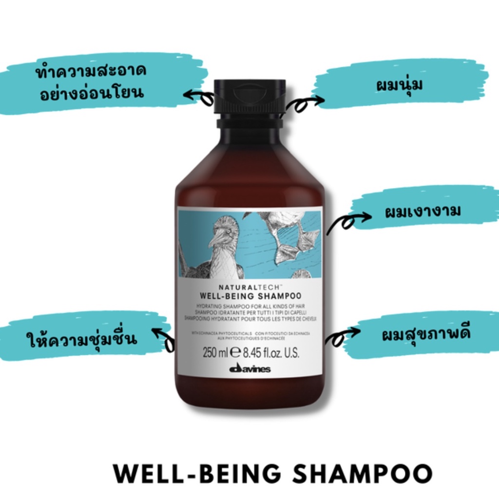 🔥ดาวิเนส แชมพูสำหรับผมแห้ง หนังศรีษะแพ้ง่าย🔥Davines Naturaltech Well ...