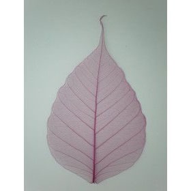 โครงใบไม้ 25 ชิ้น Magenta (Standard Bo Skeleton Leaves) | Shopee Thailand