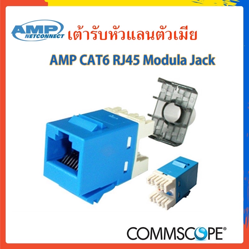 AMP CAT6 RJ45 Modular Jack AM-3600 (ตัวเมีย) 1 ชิ้น BlLUE ยี่ห้อ AMP ...
