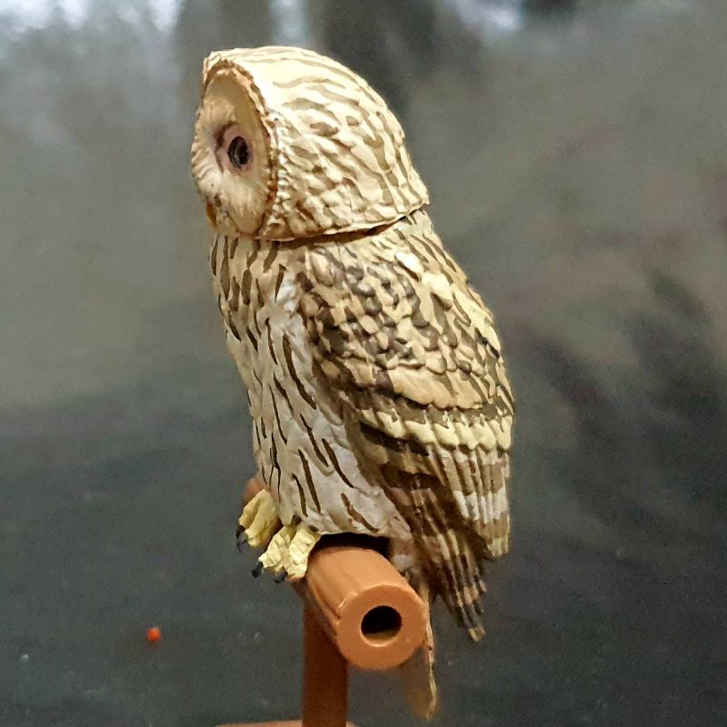 กาชาปองฟิกเกอร์นกฮูก Capsule Q Museum Fortune Owl Collection ชุดที่3 by Kaiyodo | Shopee Thailand