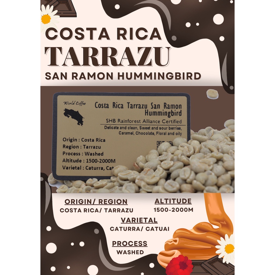พร้อมส่ง เมล็ดกาแฟดิบ Costa Rica Tarrazu San Ramon Hummingbird washed ...