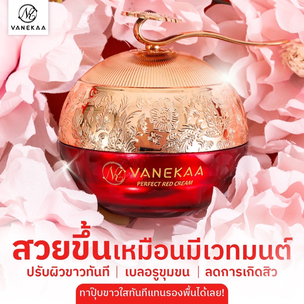 VANEKAA PERFECT RED CREAM วานีก้า เพอร์เฟค เรด ครีม | Shopee Thailand