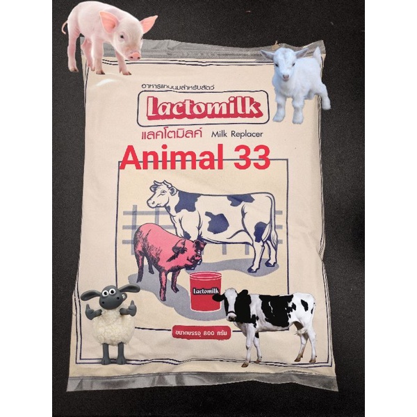 นมผง Lactomilk สำหรับสัตว์เลี้ยง โค สุกร แพะ แกะ กระบือ Exp 1/9/67 ...