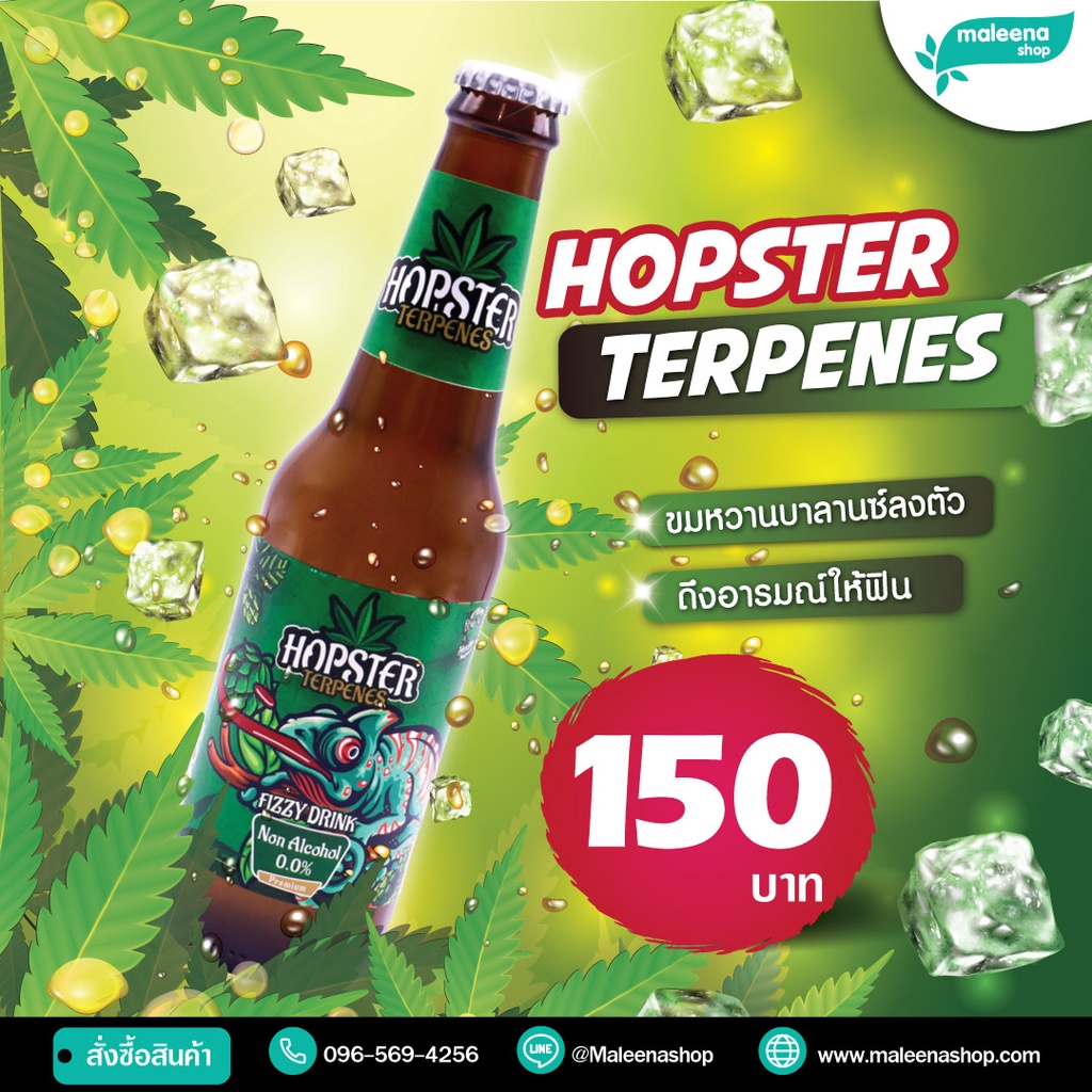 Hopster - เครื่องดื่มผลไม้อัดก๊าซไร้แอลกอฮอล์ | Shopee Thailand