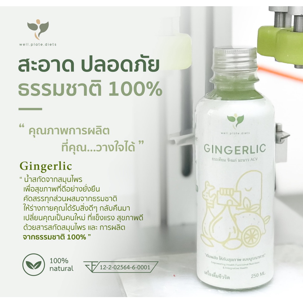 GINGERLIC น้ำกระเทียมขิงสกัด น้ำสมุนไพรสกัดเย็น กระเทียม ขิง มะนาว น้ำแอปเปิ้ลไซเดอร์ ปริมาณ ...