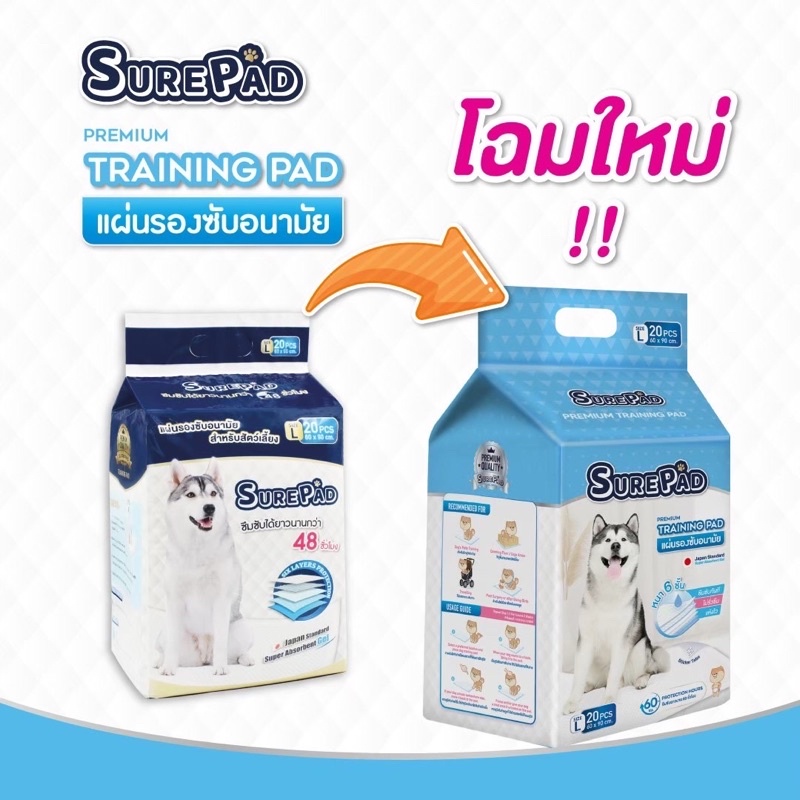 Surepad Training Pad size L 60x90cm 20ชิ้น แผ่นรองซับพรีเมี่ยม | Shopee ...