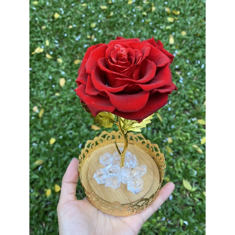 ดอกกุหลาบอมตะ (Preserved rose) | Shopee Thailand
