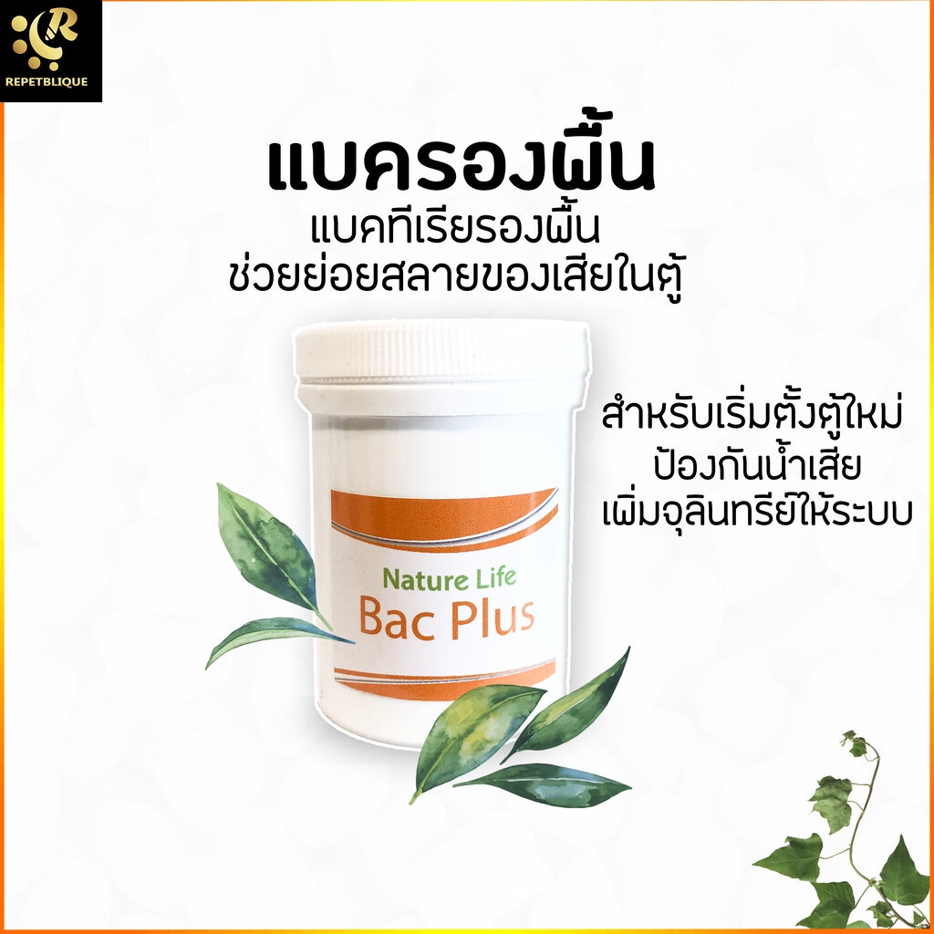 Bac Plus แบคทีเรียผง แบคทีเรียรองพื้นตู้ สำหรับตั้งตู้ใหม่ ปุ๋ยไม้น้ำ ...