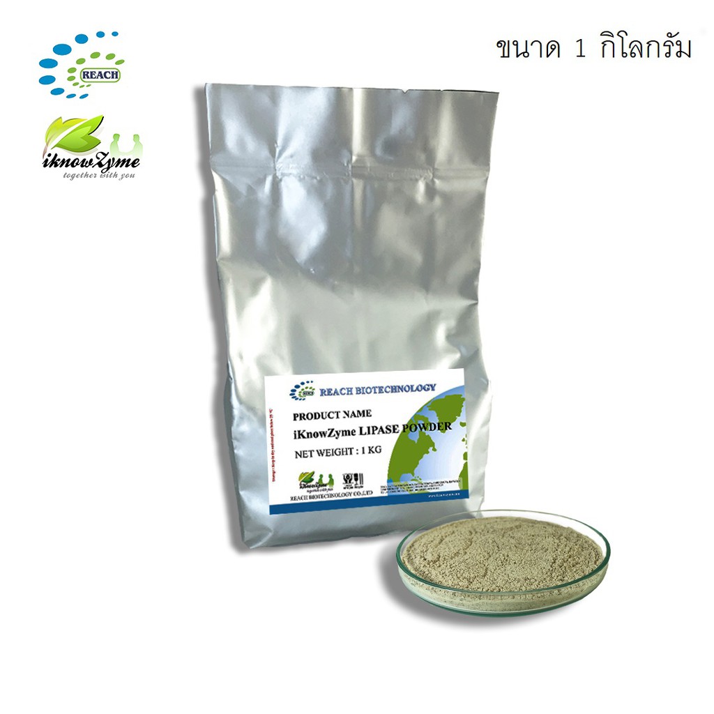 iKnowZyme Lipase Powder เอนไซม์ไลเปส ขนาด 1 กิโลกรัม | Shopee Thailand