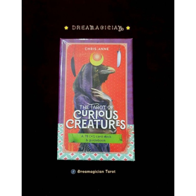 Tarot of Curious Creatures ไพ่ยิปซีแท้ลดราคา ไพ่ยิปซี ไพ่ทาโร่ต์ ไพ่ออ ...