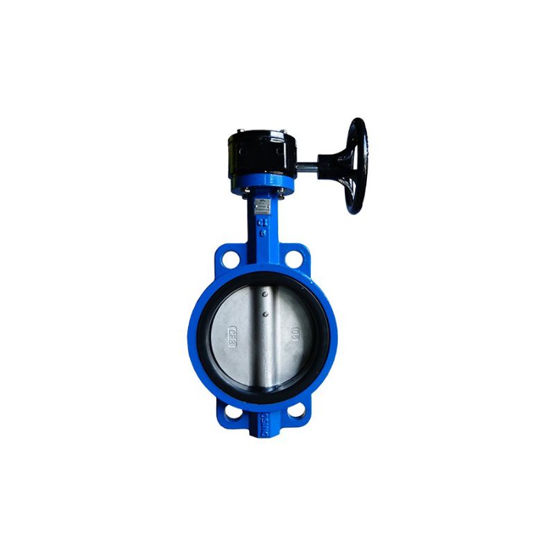 Butterfly Valve วาล์วปีกผีเสื้อ Hpvขนาด 6นิ้ว หัวเกียร์ Shopee Thailand